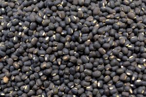 Black Matpe - MPBMSMA - MYANMAR PULSES, BEANS, MAIZE & SESAME SEEDS ...