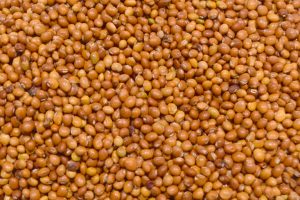 Toor Whole - MPBMSMA - MYANMAR PULSES, BEANS, MAIZE & SESAME SEEDS ...